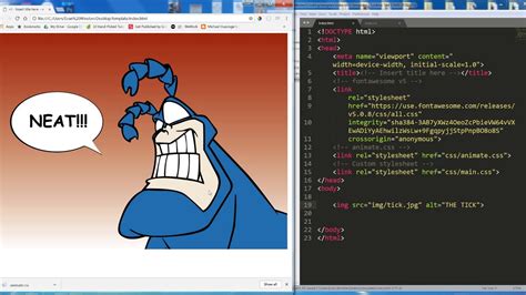 Animate Css YouTube