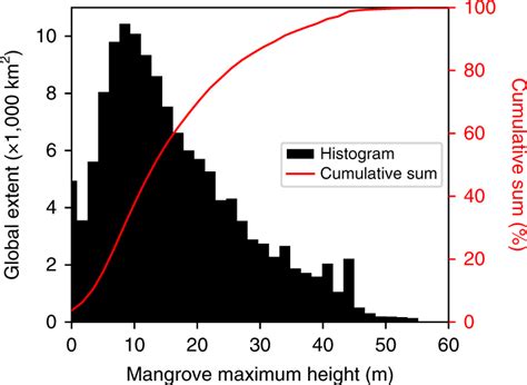 Global Distribution Of Maximum Mangrove Canopy Height Extent Areal
