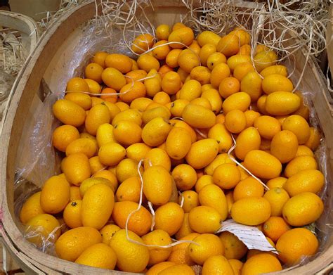 Download Kumquat Fruit Display High Angle Shot Wallpaper