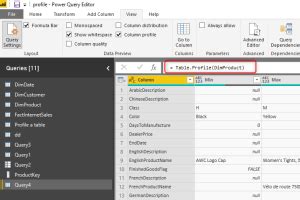 Create a Profiling Report in Power BI: Give the End User Information about the Data - RADACAD