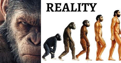 Atheism Exposed Evolution Was A Fact Or Just A Theory