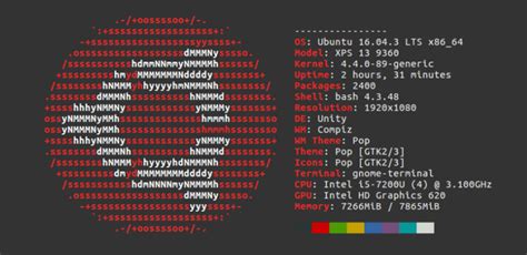 Los Mejores Terminales Para Linux De 2018