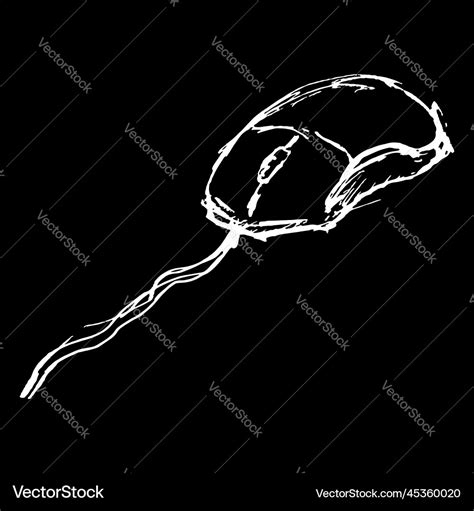 Monochrome Computer Mouse Sketched Line Art Vector Image
