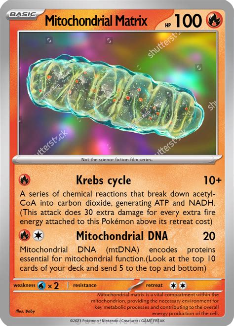 Mitochondrial Matrix Unknownc Poké