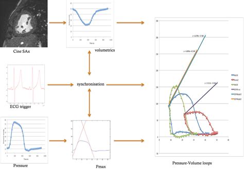 Data Workflow Analysis Download Scientific Diagram