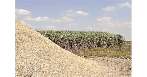 Най новите строителни материали идват от фермата Български Фермер