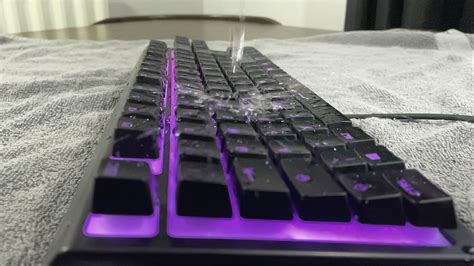 Steelseries Apex 3 Tkl Keyboard Review The Worlds First Water