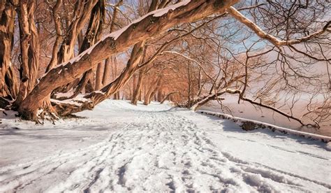 Madlyaek Δ𝕺ΨΔΞ Displaying files e g images stored in Google Drive on a website