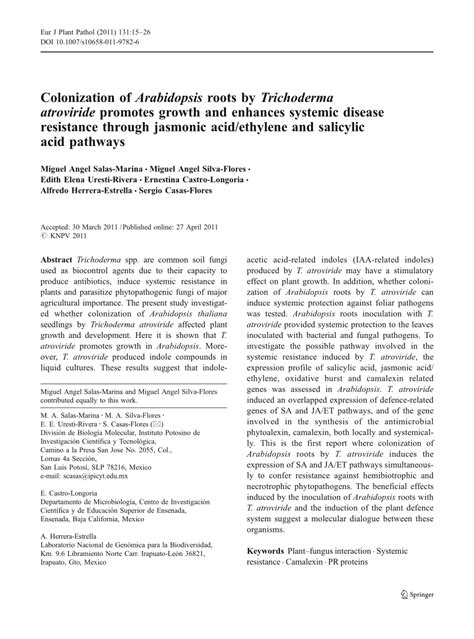Pdf Colonization Of Arabidopsis Roots By Trichoderma Atroviride Promotes Growth And Enhances
