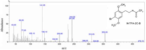 EI GC MS Mass Spectrum Of TFA Derivative Of C B Download Scientific Diagram