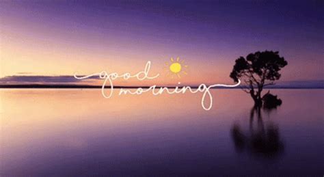 Good Morning View Calming 