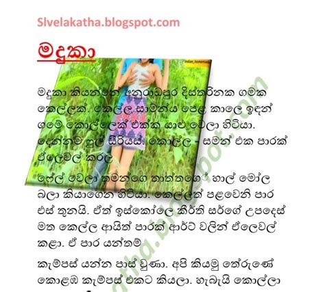 මදුකා madhuka 01