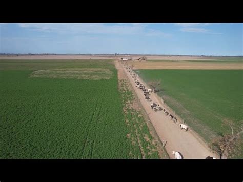 Estab Los Tres Hermanos De Familia Eberhardt San Carlos Norte Sta Fe Youtube