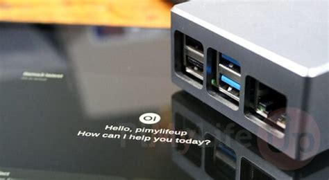 Self Hosting An AI Chatbot With Open WebUI On The Raspberry Pi Pi My Life Up