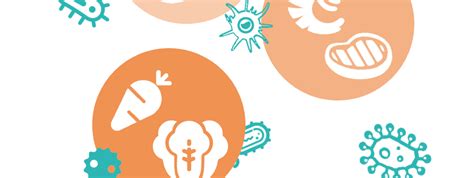 Challenges Of Food Pathogen Detection Labinsights