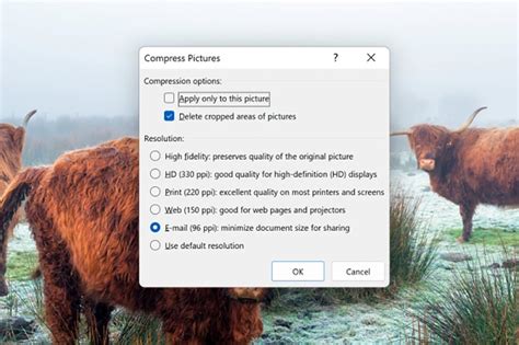How To Reduce Your PowerPoint PPT File Size Way Down Video Envato Tuts