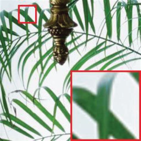 Restoration Of Different Algorithms For Color Image Deblurring Download Scientific Diagram