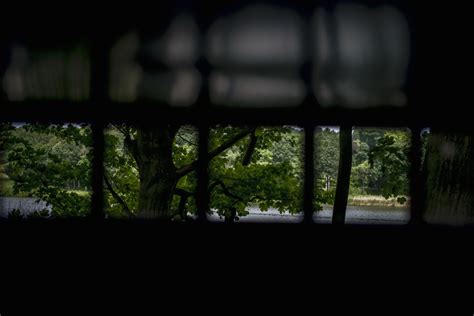 The Garden Of Good And Evil Alfredo Jaar