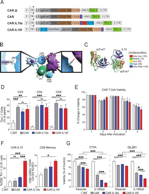 Il15 Modification Enables Car T Cells To Act As A Dual Targeting Agent