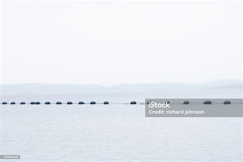 바다 물 해안 환경에 있는 물고기 농장 연어 그물 케이지 수레 영국 로크 멜 포트 러 글 스코틀랜드 Uk 0명에 대한 스톡 사진 및 기타 이미지 Istock