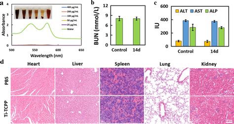 Evaluation Of Ti Tcpp Mof In Vivo Biosafety A Different Concentrations Download Scientific