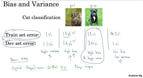 Shishir Bhattarai On Linkedin 300daysofdeeplearning Deeplearning