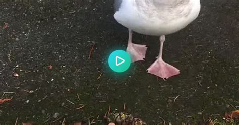 Problems Album On Imgur