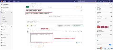 使用gitlab的issues做项目开发的缺陷管理 gitlab issues怎么用 csdn博客