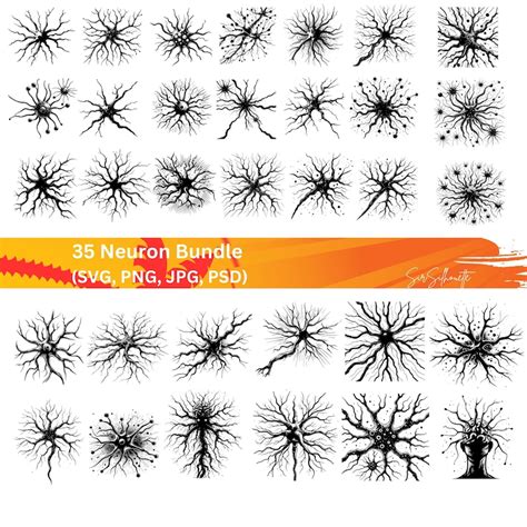 Neurons Svg Bundle 35 Synapses Designs Png Psd Etsy Uk