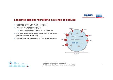 Rna Biomarker Discovery In Exosomes And Liquid Biopsies By Sequencing And Qpcr Ppt Free Download