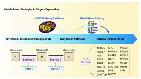Strategies For Exploring Potential Molecular Targets Through
