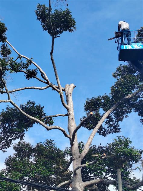 Mohamad Kamal Noh Safiee Added Mohamad Kamal Noh Safiee