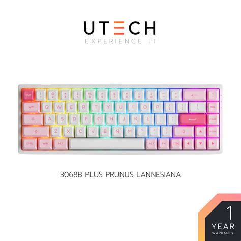 คีย์บอร์ด Akko 3068b Plus Prunus Lannesiana Rgb Bluetooth Wireless