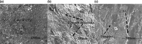 Sem Fractographies Of Fracture Surface For The Type B Specimen