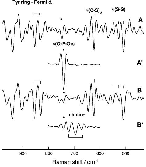 raman second derivative spectra of prodan labeled hdl solution a and