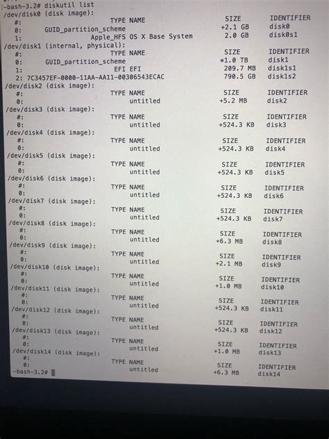 disk utility cannot use diskutil verifyvolume trying to boot back