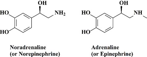 Chemical Structures For The Evaluated Catecholamines Download