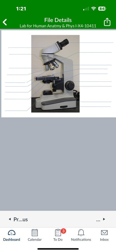 Parts Of A Compound Microscope Diagram Quizlet