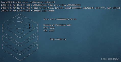 在 Windows 和 Linux 下安装 Redis 和视图工具真的超详细！！！（含下载地址及安装包）windows的redis工具 Csdn博客