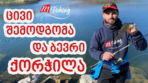 შედეგიანი თევზაობა და თევზის წვნიანის მომზადება ბუნებაში Youtube