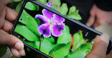 React Native Plant Care Mobile App Development Appilian