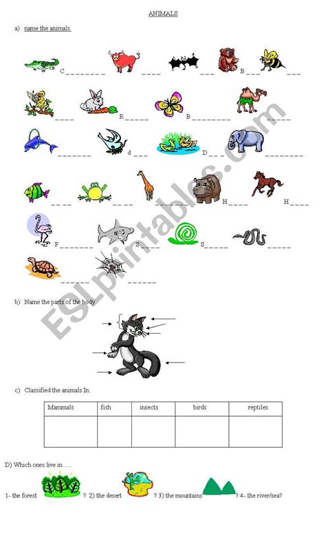 Animal Classification Esl Worksheet By Cositadulce