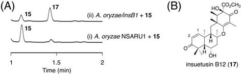 A HPLC Profiles Of Bioconversion Experiments Using The Download Scientific Diagram