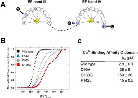Calmodulin Mutations Associated With Recurrent Cardiac Arrest In Infants Pmc