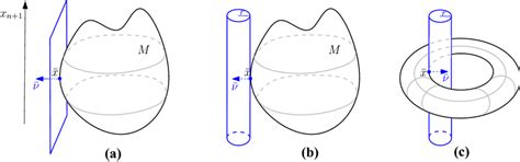 A Illustration Of Condition S B Illustration Of Condition S C The Download Scientific