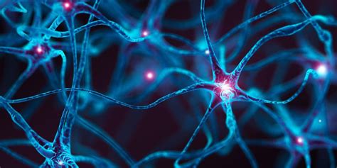 Neural Network For Genomics Developed That Explains How It Achieves