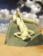 Post 2268655 Hattonslayden Viper X COM X COM 2