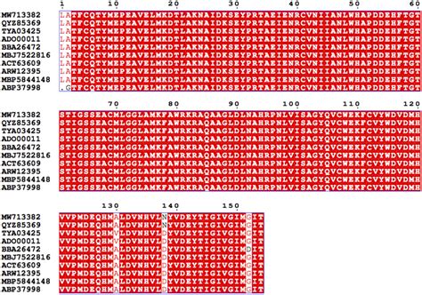 multiple sequence alignment between ten glutamate decarboxylase protein