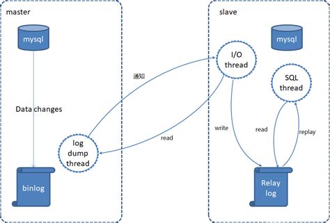 通过 Docker Compose 快速部署 Mysql保姆级教程 大数据老司机 博客园