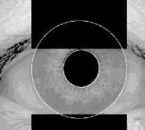 2 Iris Region Segmentation Download Scientific Diagram